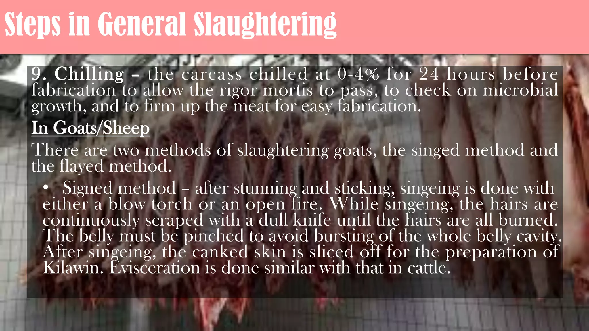 Slaughtering | PDF