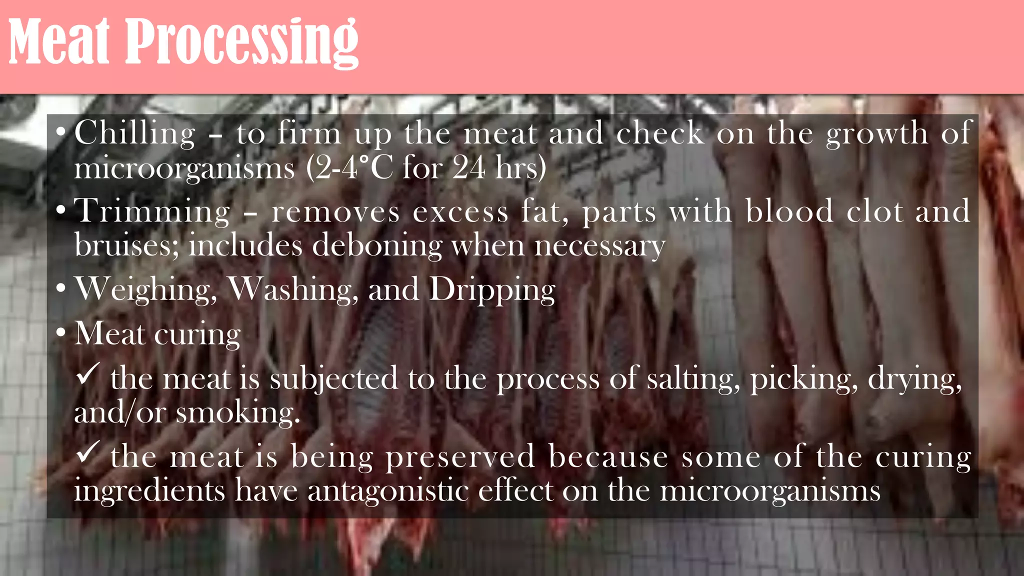Slaughtering | PDF