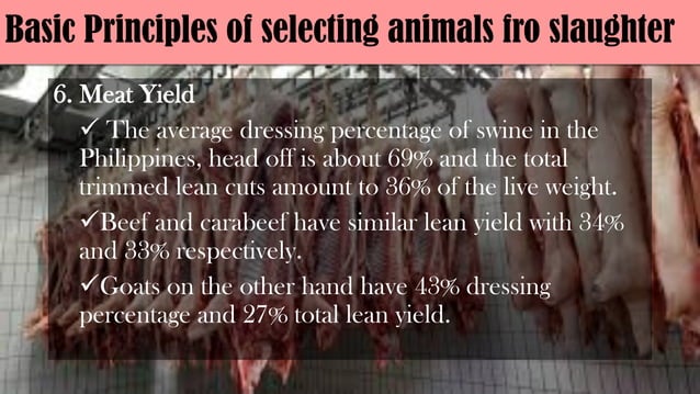 Slaughtering | PDF