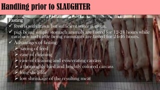 Slaughtering | PDF