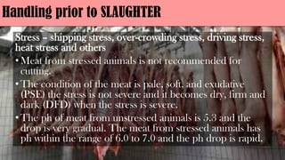 Slaughtering | PDF