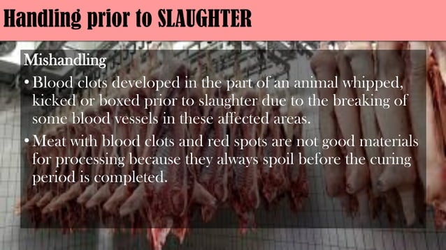 Slaughtering | PDF
