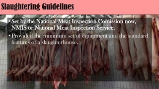 Slaughtering | PDF
