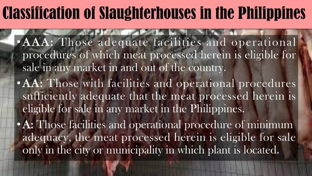 Slaughtering | PDF