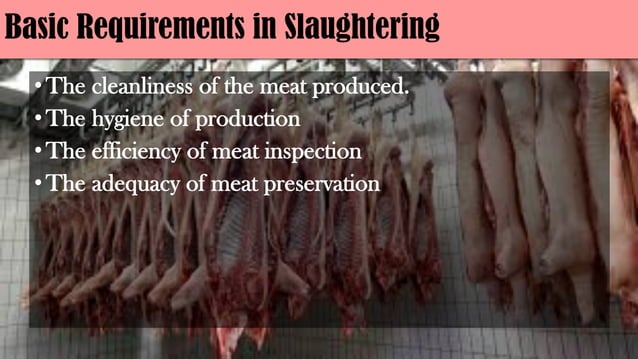 Slaughtering | PDF