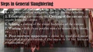 Slaughtering | PDF