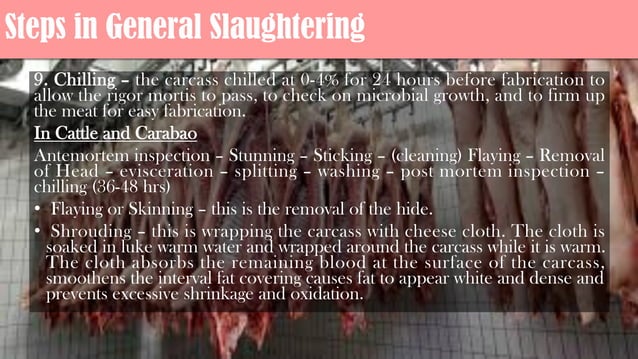 Slaughtering | PDF