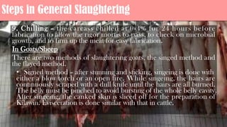 Slaughtering | PDF