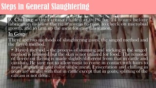Slaughtering | PDF