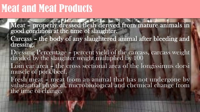Slaughtering | PDF