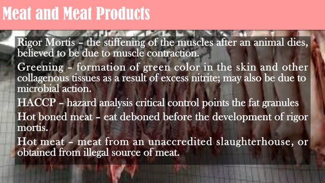 Slaughtering | PDF