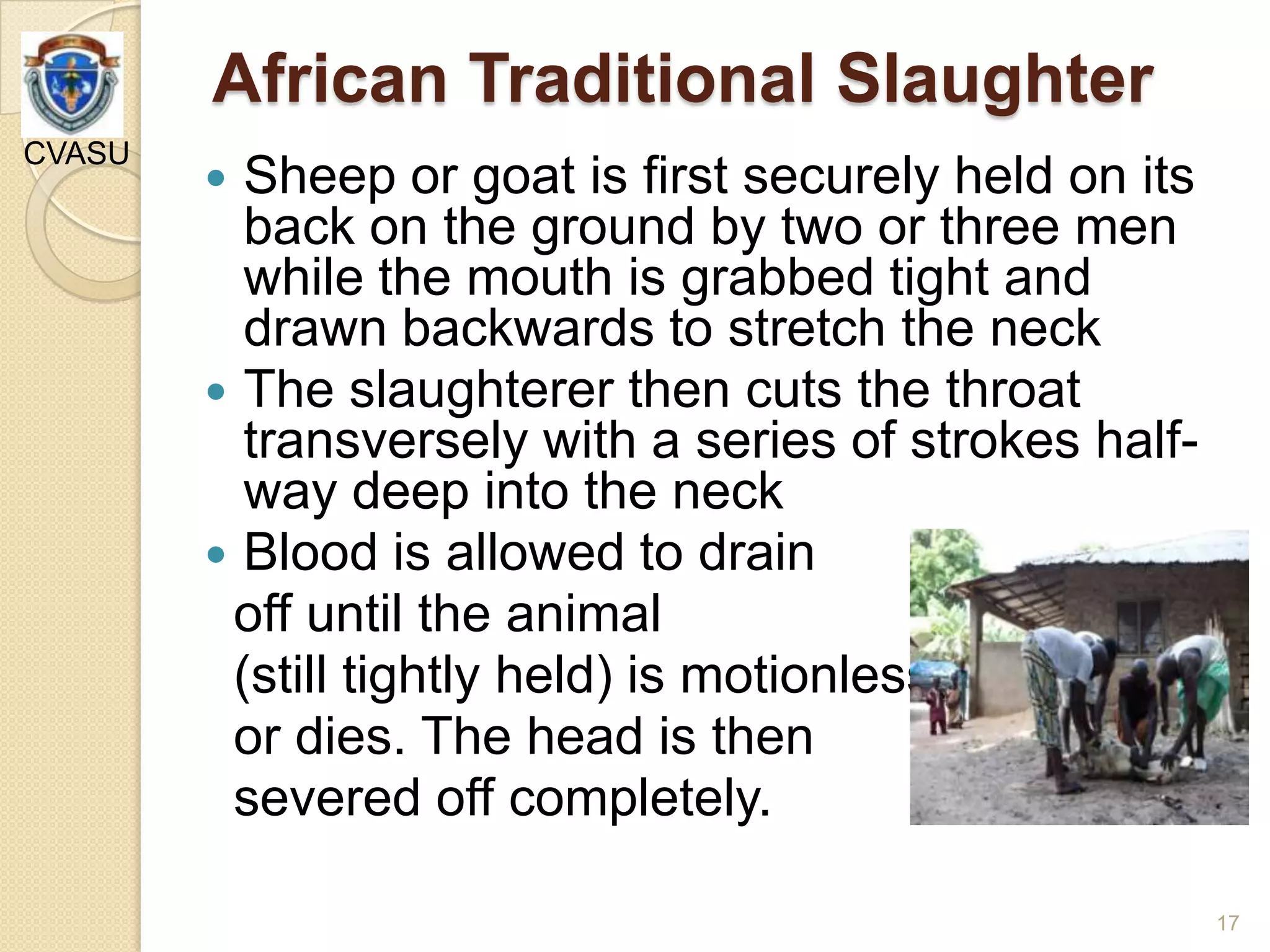 Methods of slaughtering, processing & postmortem changes and ageing of ...