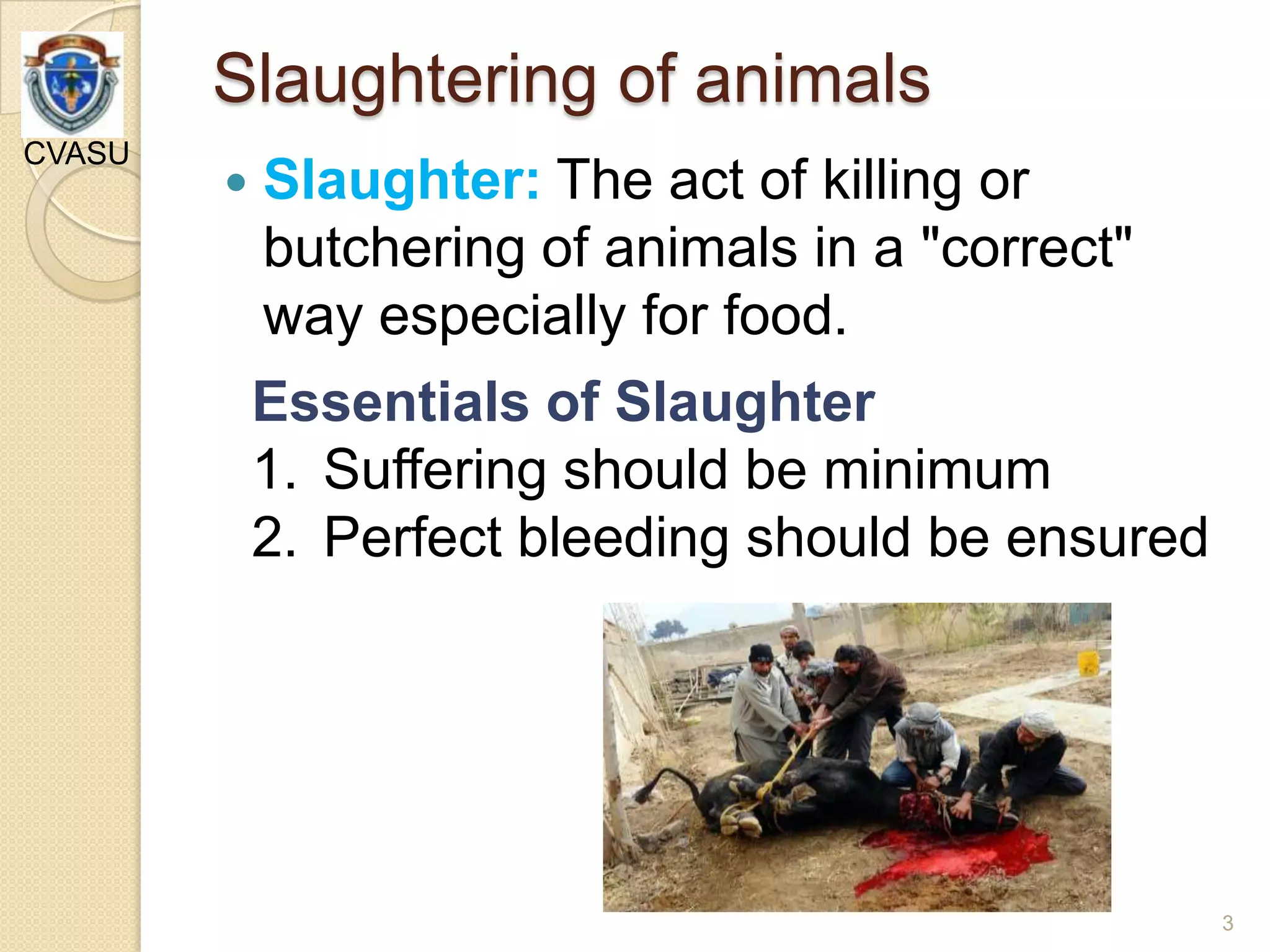 Methods of slaughtering, processing & postmortem changes and ageing of ...