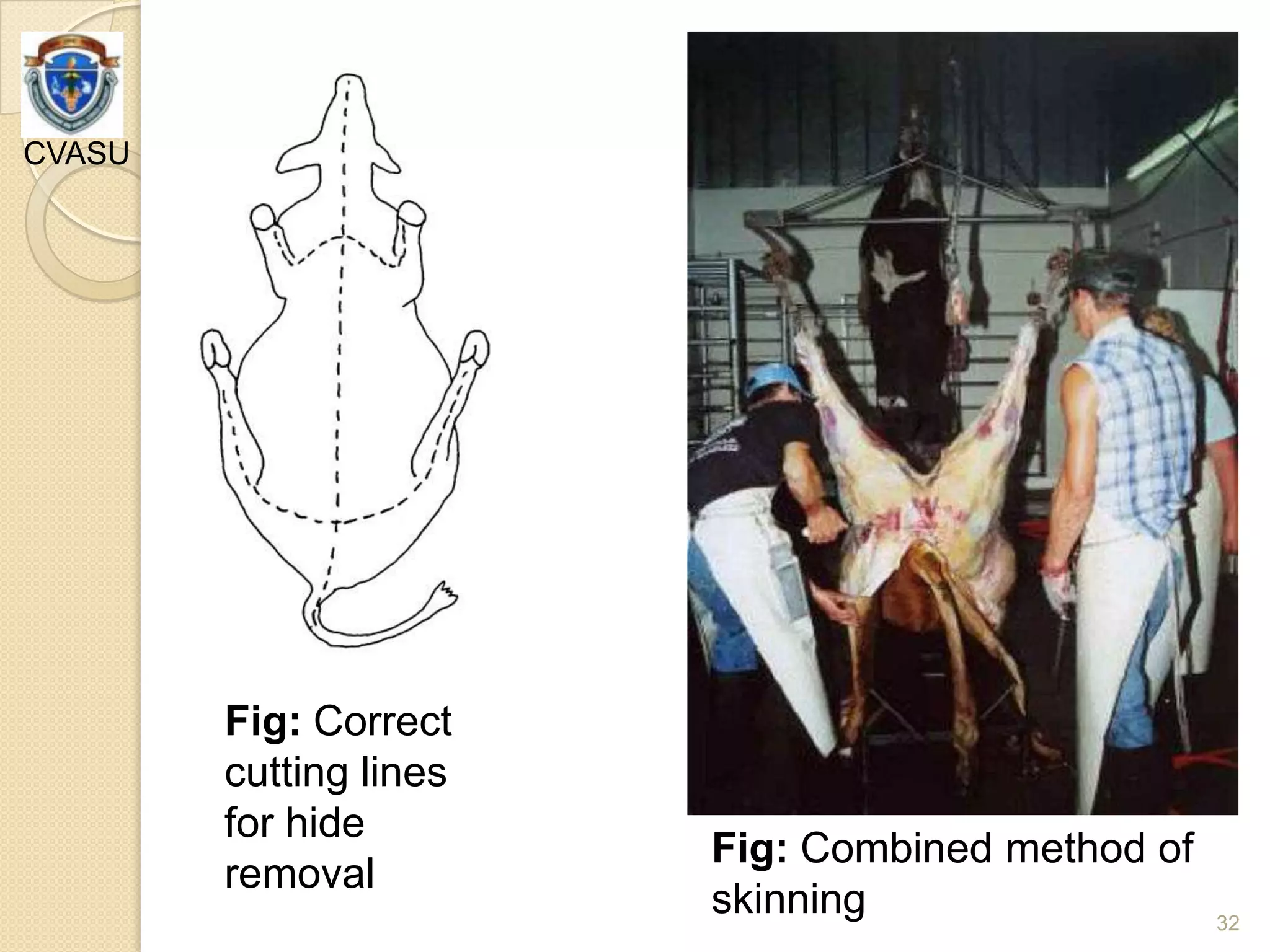 Methods of slaughtering, processing & postmortem changes and ageing of ...