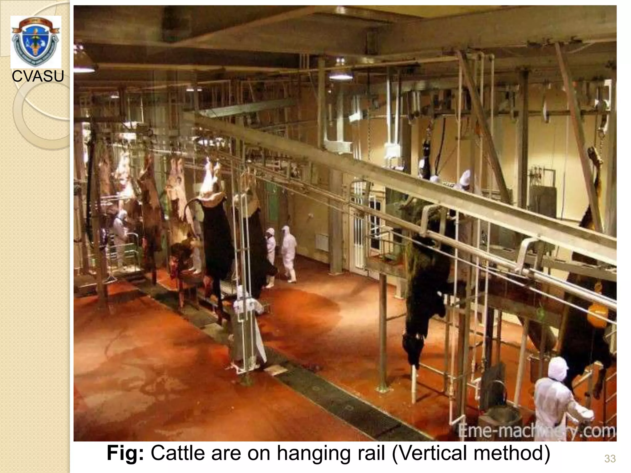 Methods of slaughtering, processing & postmortem changes and ageing of ...