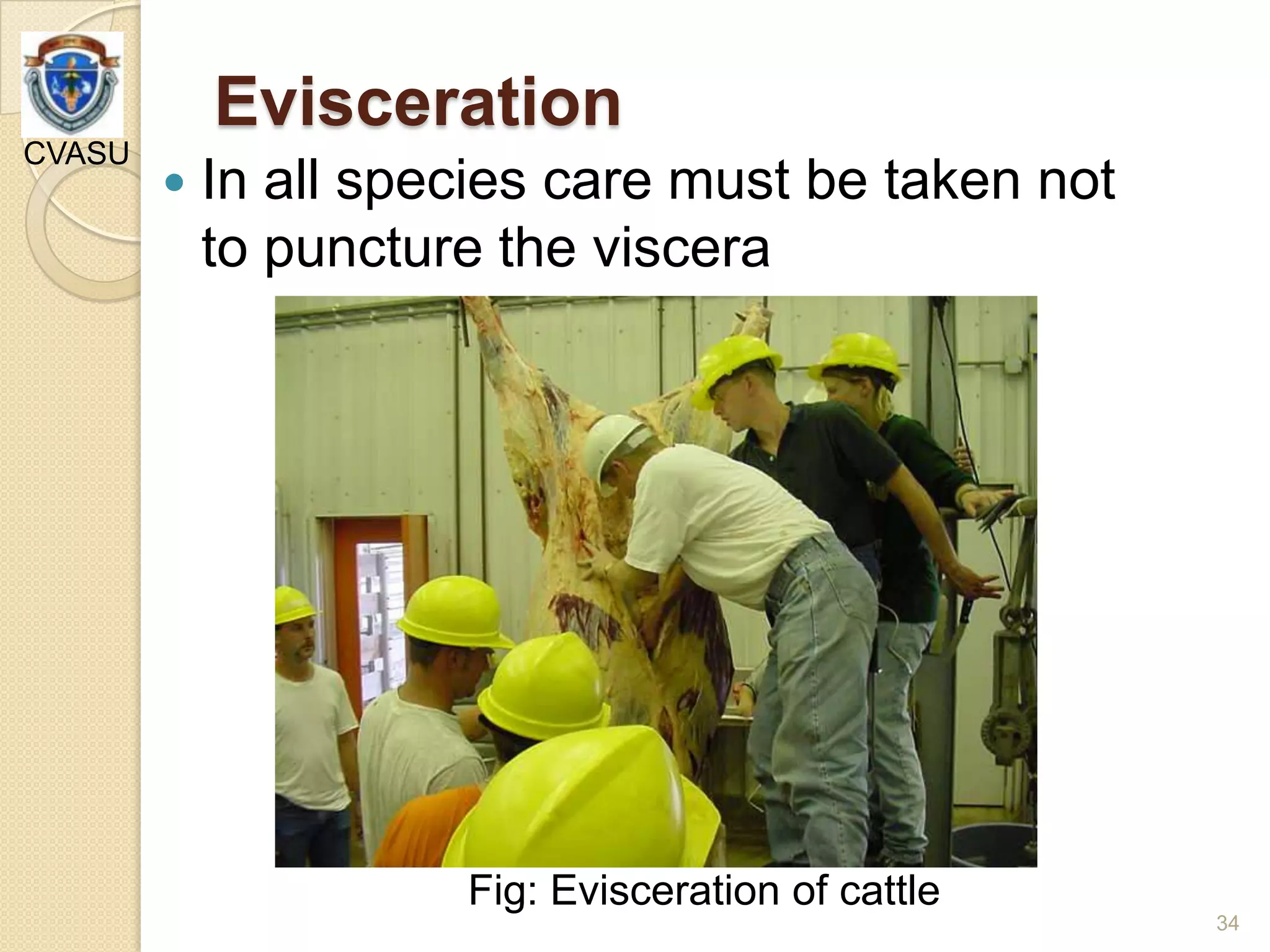 Methods of slaughtering, processing & postmortem changes and ageing of ...
