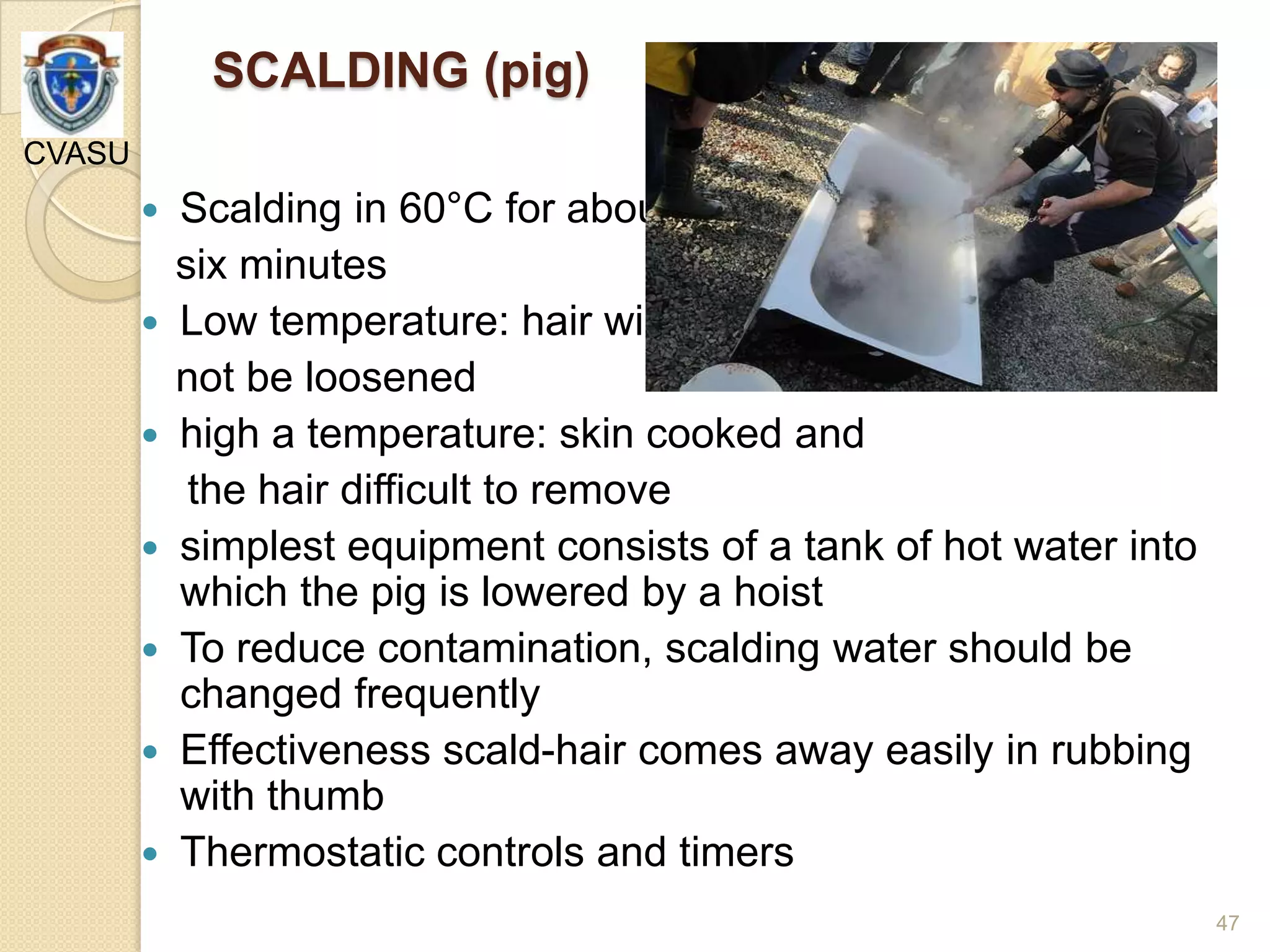 Methods of slaughtering, processing & postmortem changes and ageing of ...