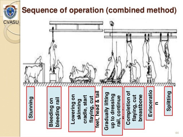 Methods of slaughtering, processing & postmortem changes and ageing o…