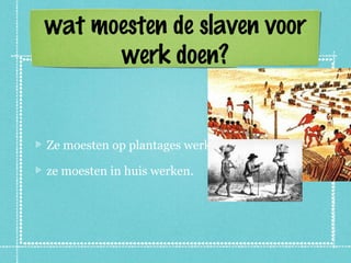 Slavenij | PPT