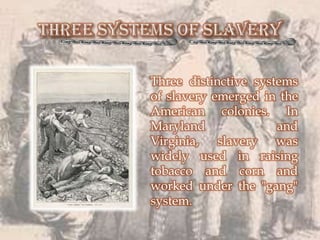 Slavery | PPT