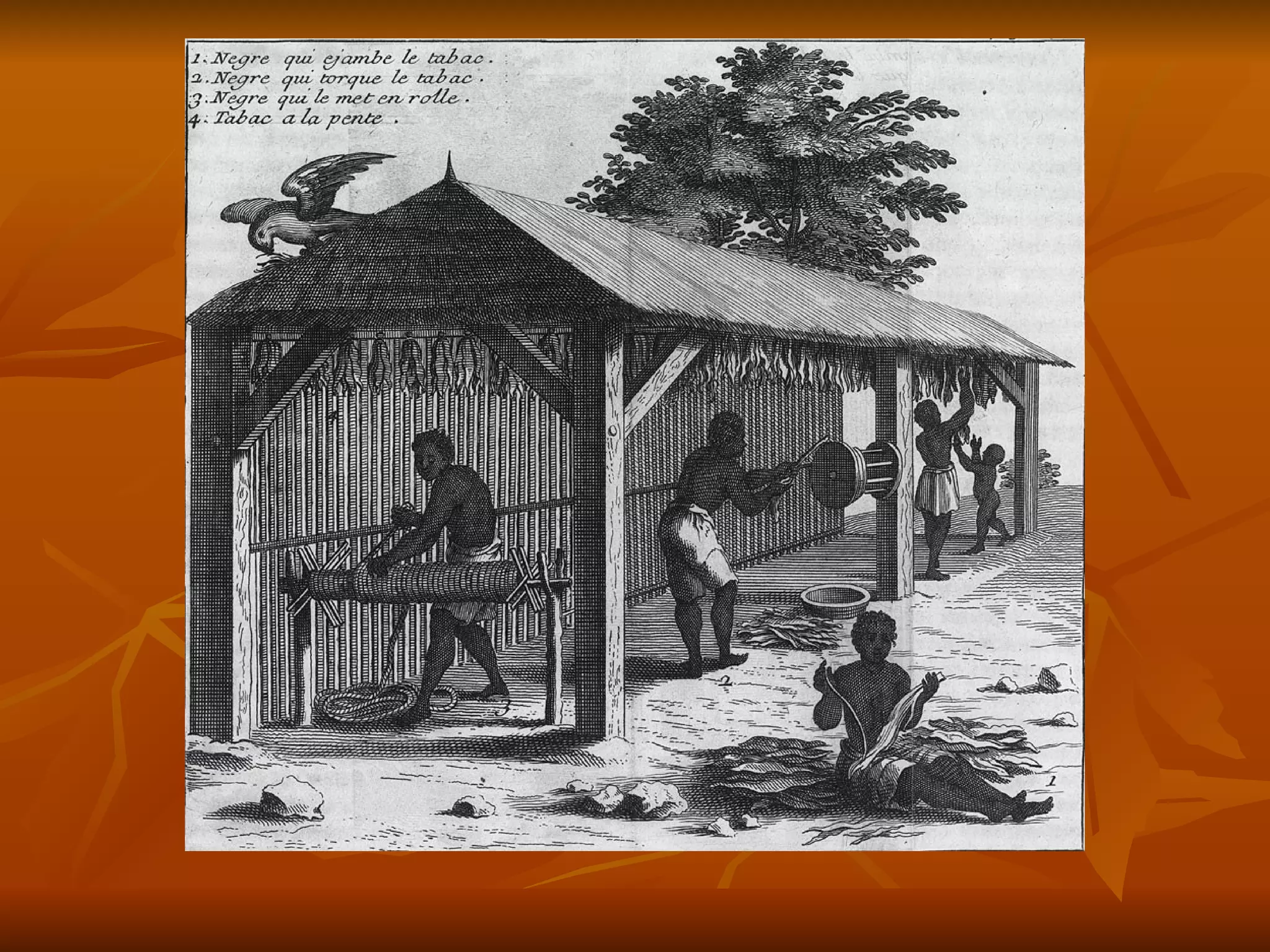 Slavery Presentation | PPT