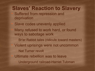 Slavery And The South | PPT
