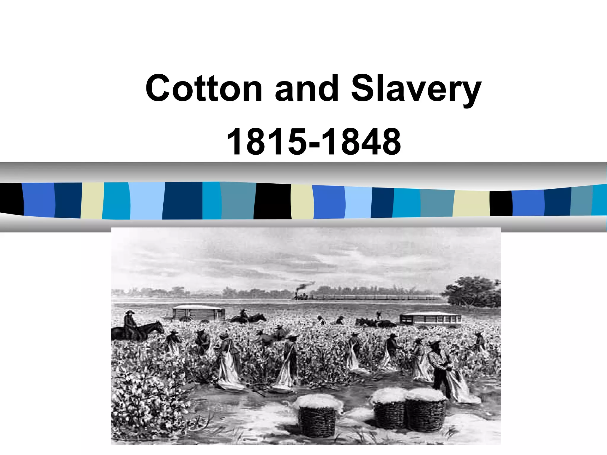 Slavery cotton ppt section 8 2 updated | PPT | Crime & Harmful Acts to ...