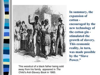 Slavery cotton ppt section 8 2 updated | PPT | Crime & Harmful Acts to ...