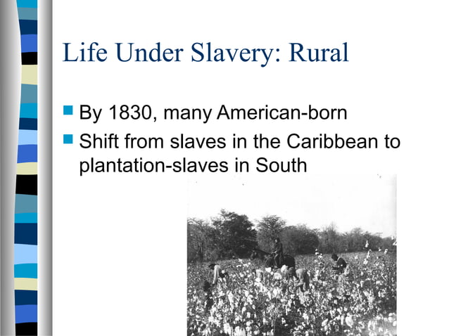 Slavery cotton ppt section 8 2 updated | PPT | Crime & Harmful Acts to ...
