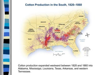 Slavery cotton ppt section 8 2 updated | PPT | Crime & Harmful Acts to ...