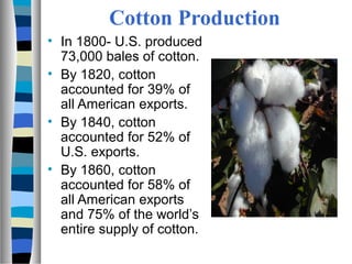 Slavery cotton ppt section 8 2 updated | PPT