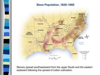 Slavery cotton ppt section 8 2 updated | PPT | Crime & Harmful Acts to ...