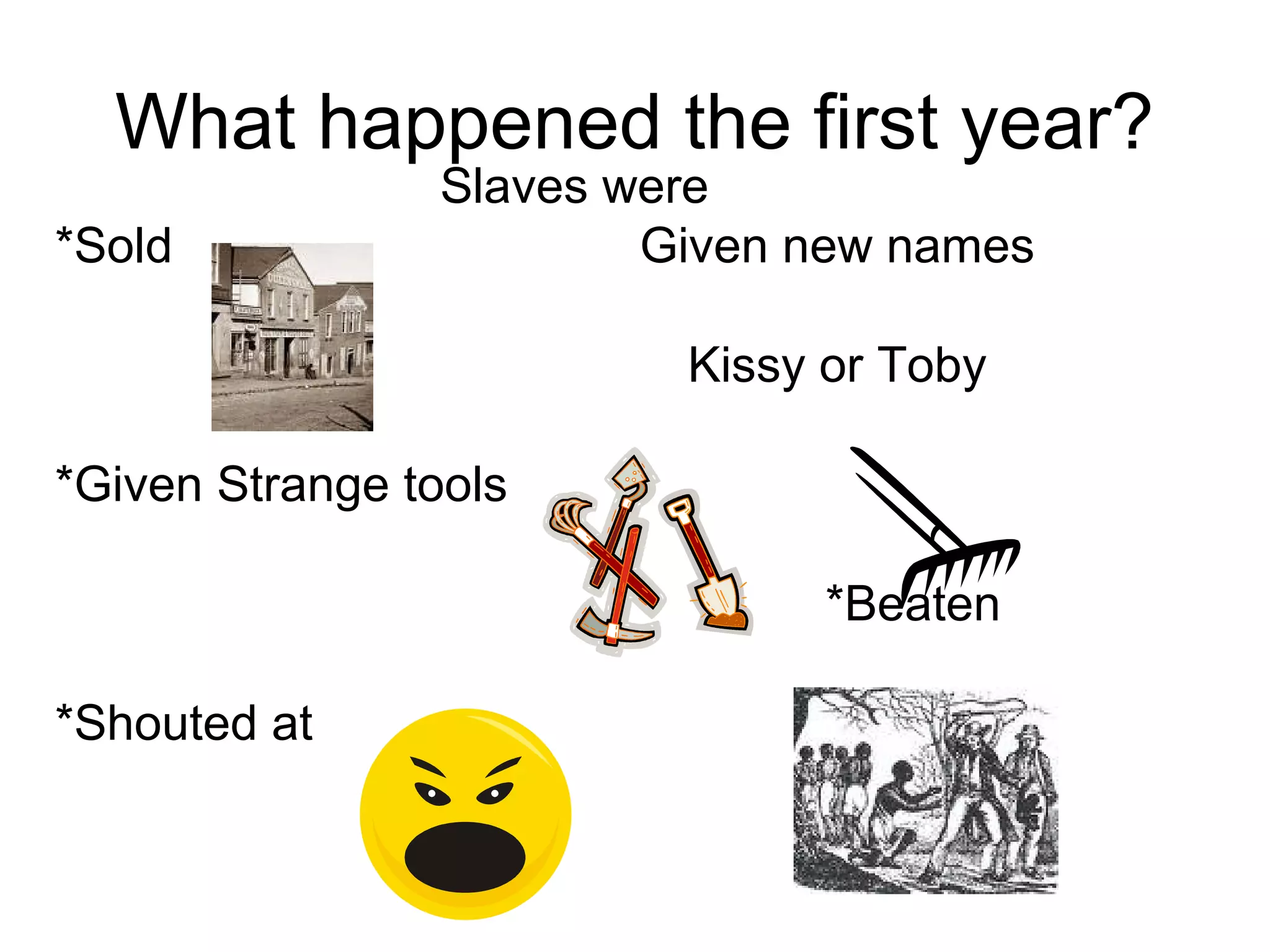 Slavery in the colonies | PPT