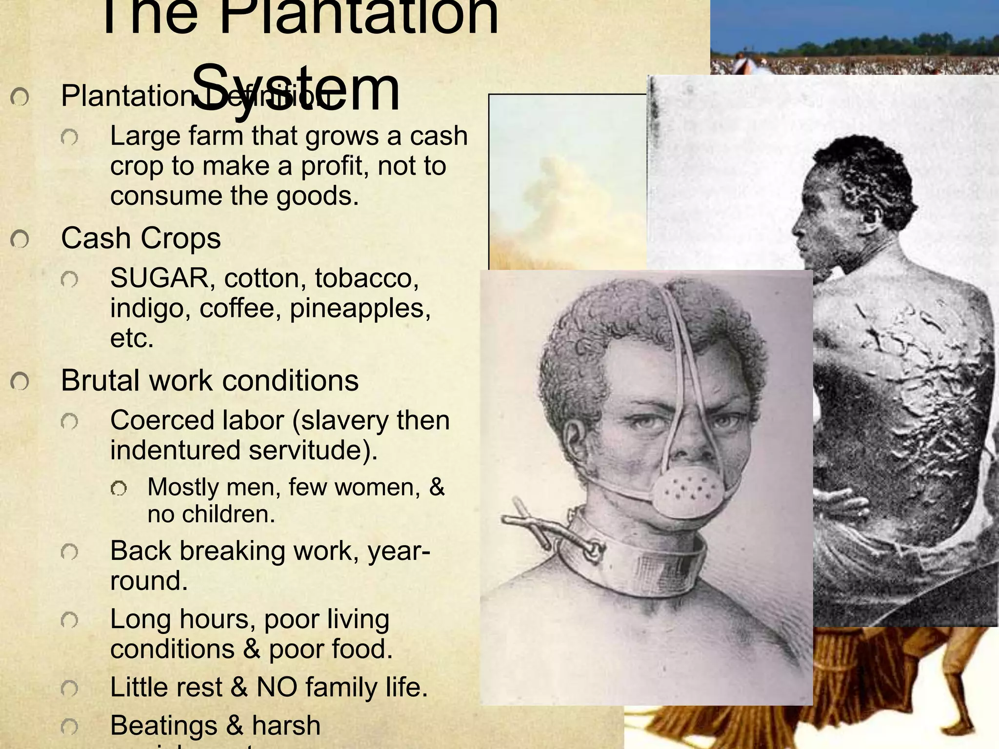 Slave trade powerpoint | PPT