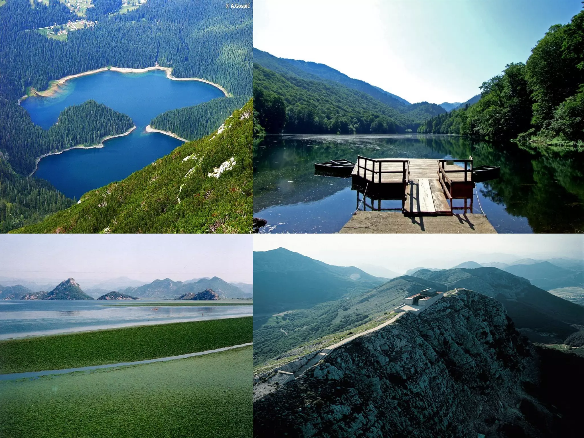 Slavica jovanovic 2 | PPT