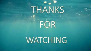 Dəniz Heyvanları Slayd | PPT