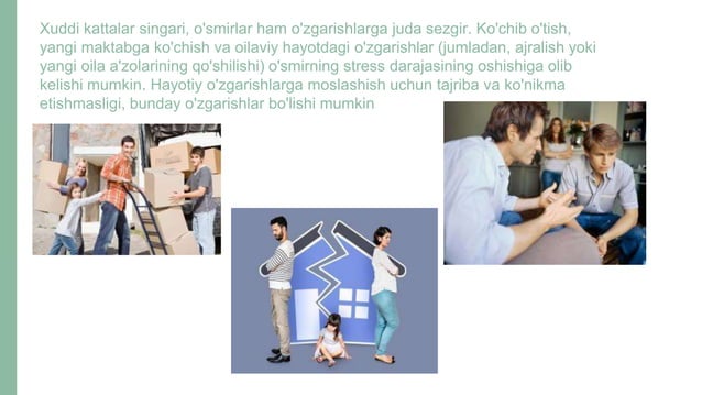 slayt by Shaxnoza.pptx