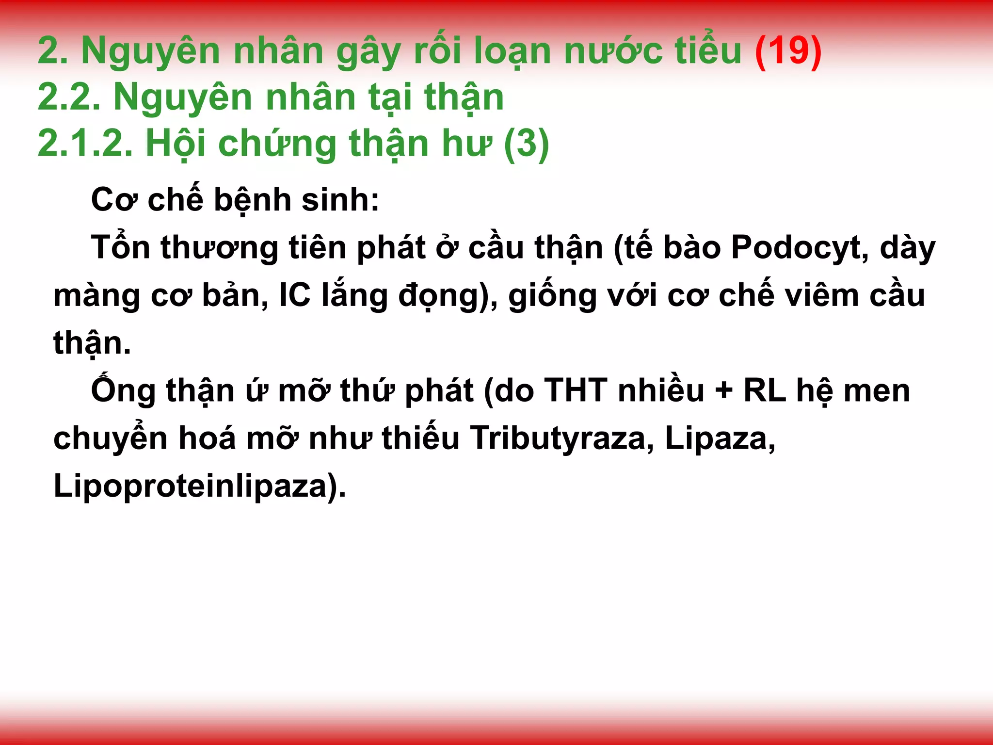 HVQY | Sinh lý bệnh | Hệ tiết niệu | PPT