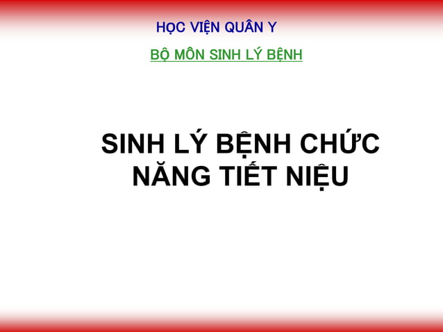 HVQY | Sinh lý bệnh | Hệ tiết niệu | PPT