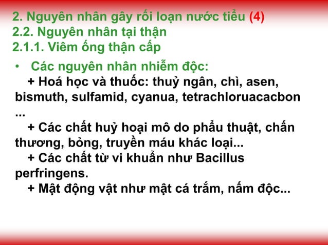 HVQY | Sinh lý bệnh | Hệ tiết niệu | PPT