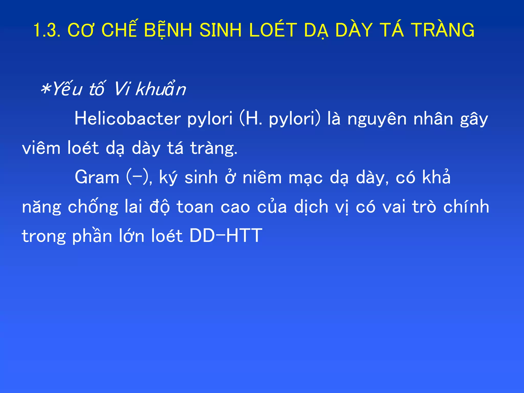 HVQY | Sinh lý bệnh | Tiêu hóa | PPT