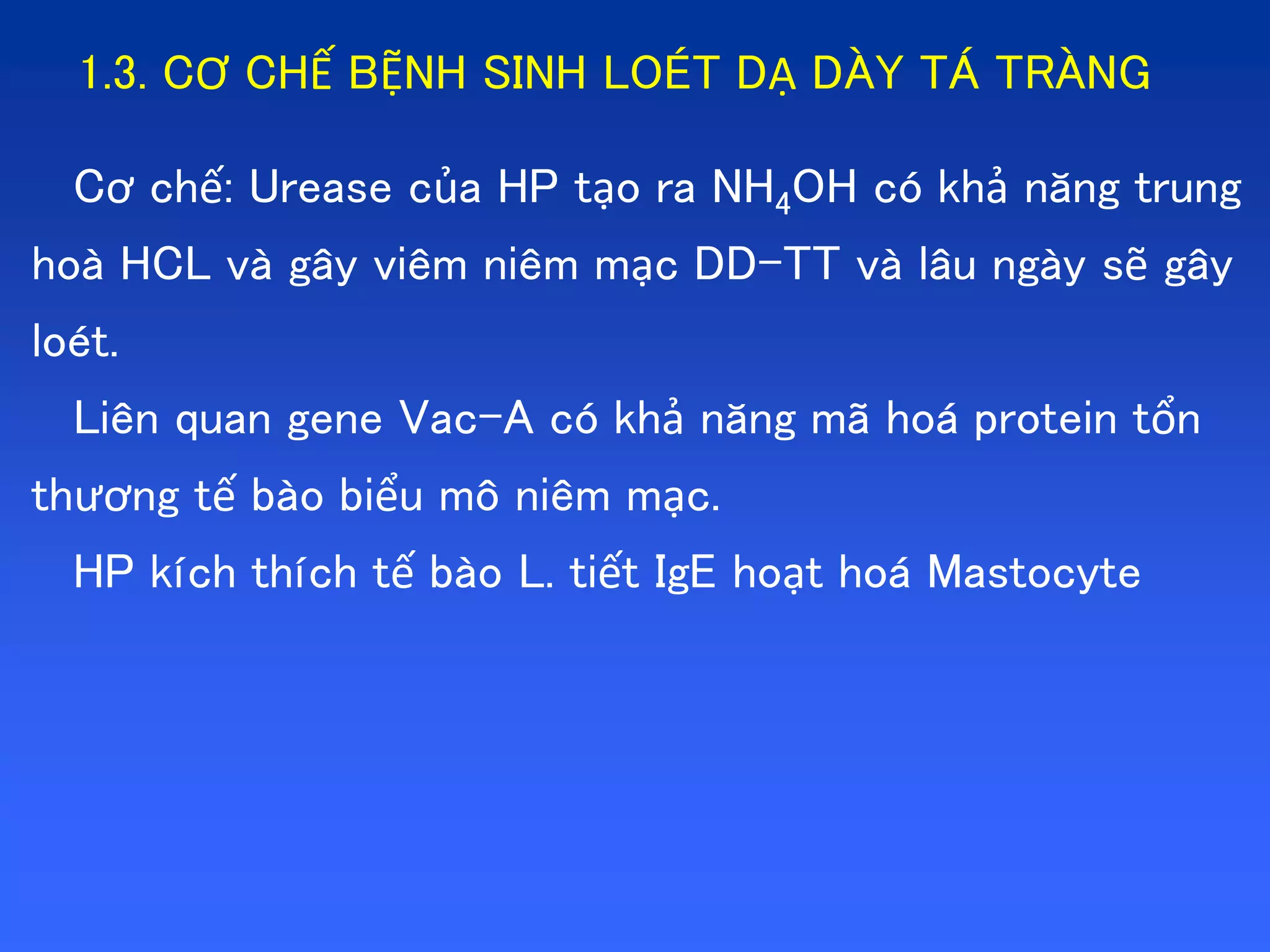 HVQY | Sinh lý bệnh | Tiêu hóa | PPT