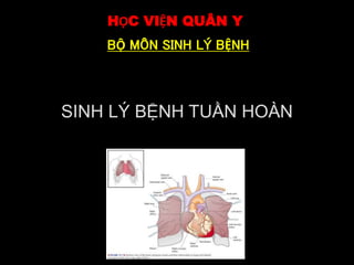 HVQY | Sinh lý bệnh | Tuần hoàn | PPT