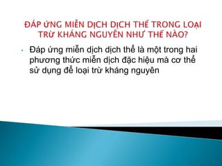 mien dich dich the | PPTX