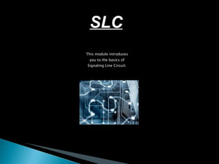 SLC | PPT