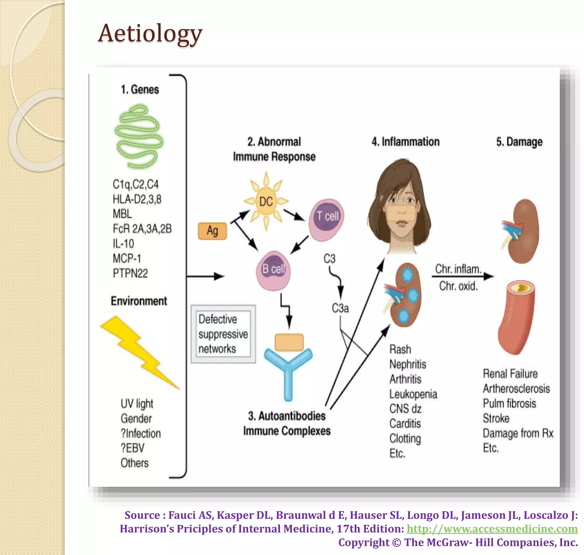 Therapeutic Scenario in Systemic Lupus Erythematosis (SLE) | PPTX