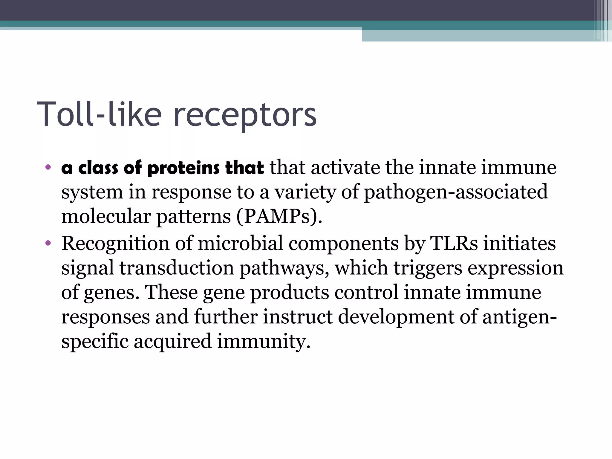 pathogenesis and pathophysiology of SLE | PPT