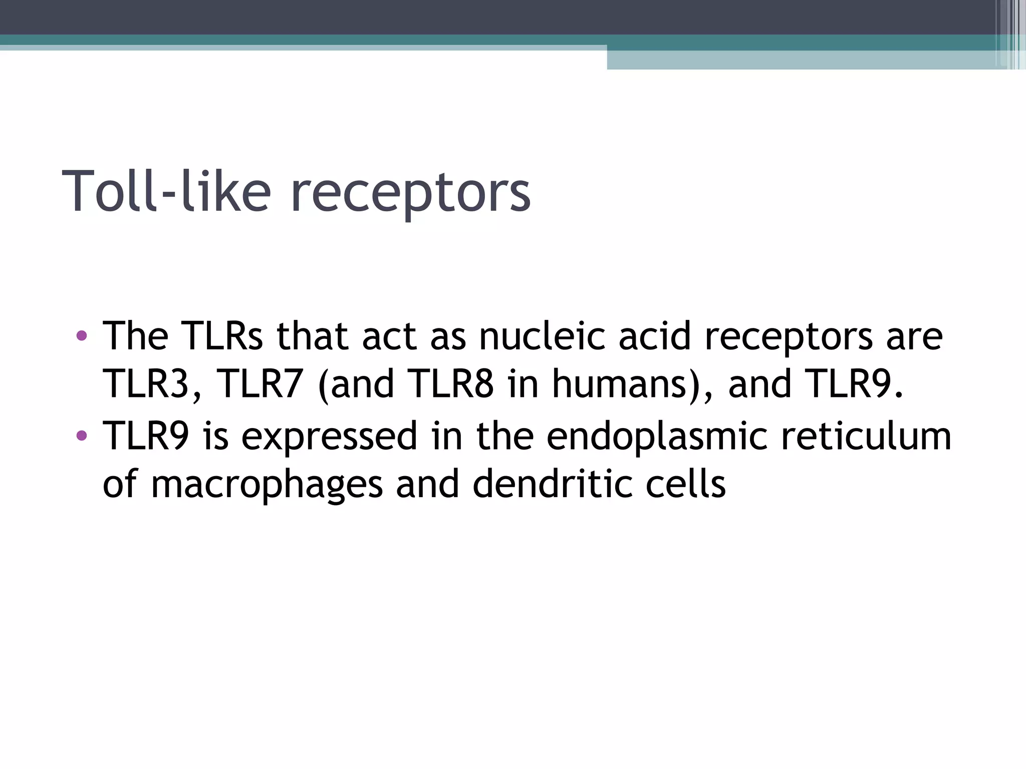 pathogenesis and pathophysiology of SLE | PPT