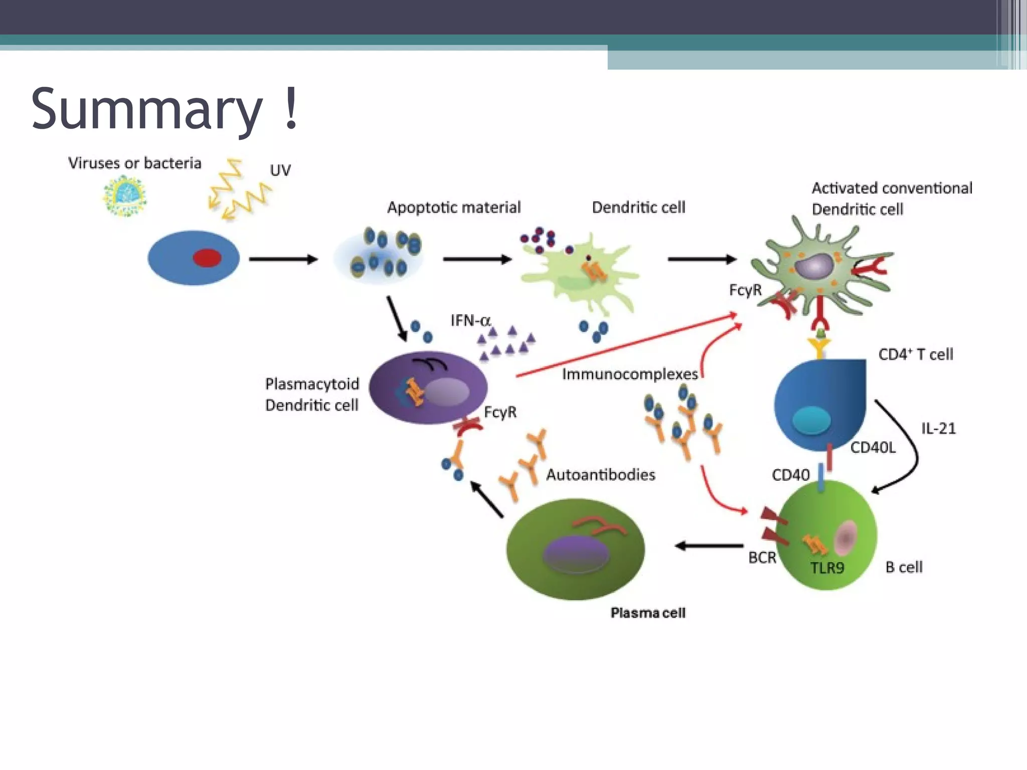 pathogenesis and pathophysiology of SLE | PPT
