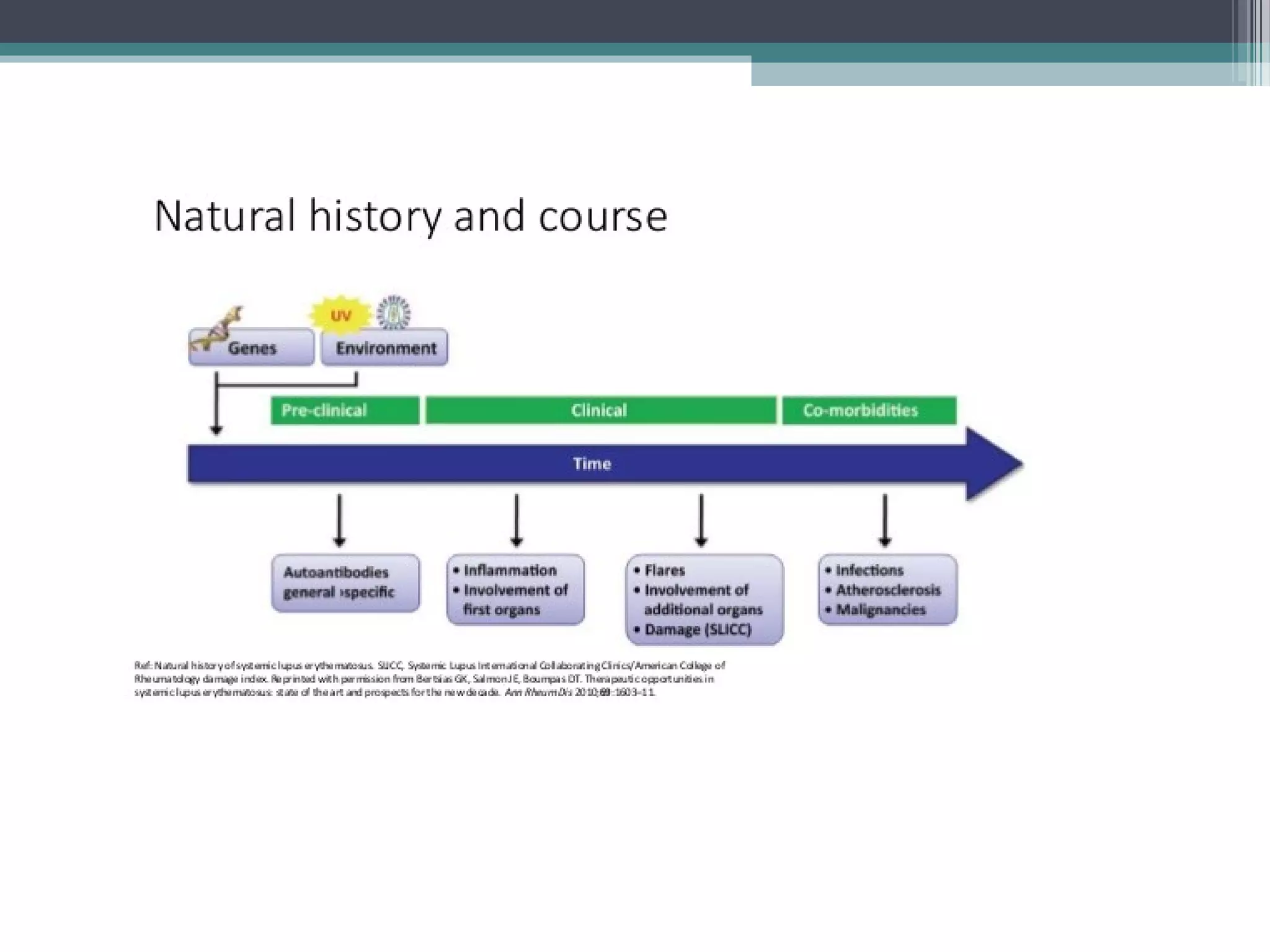 pathogenesis and pathophysiology of SLE | PPT